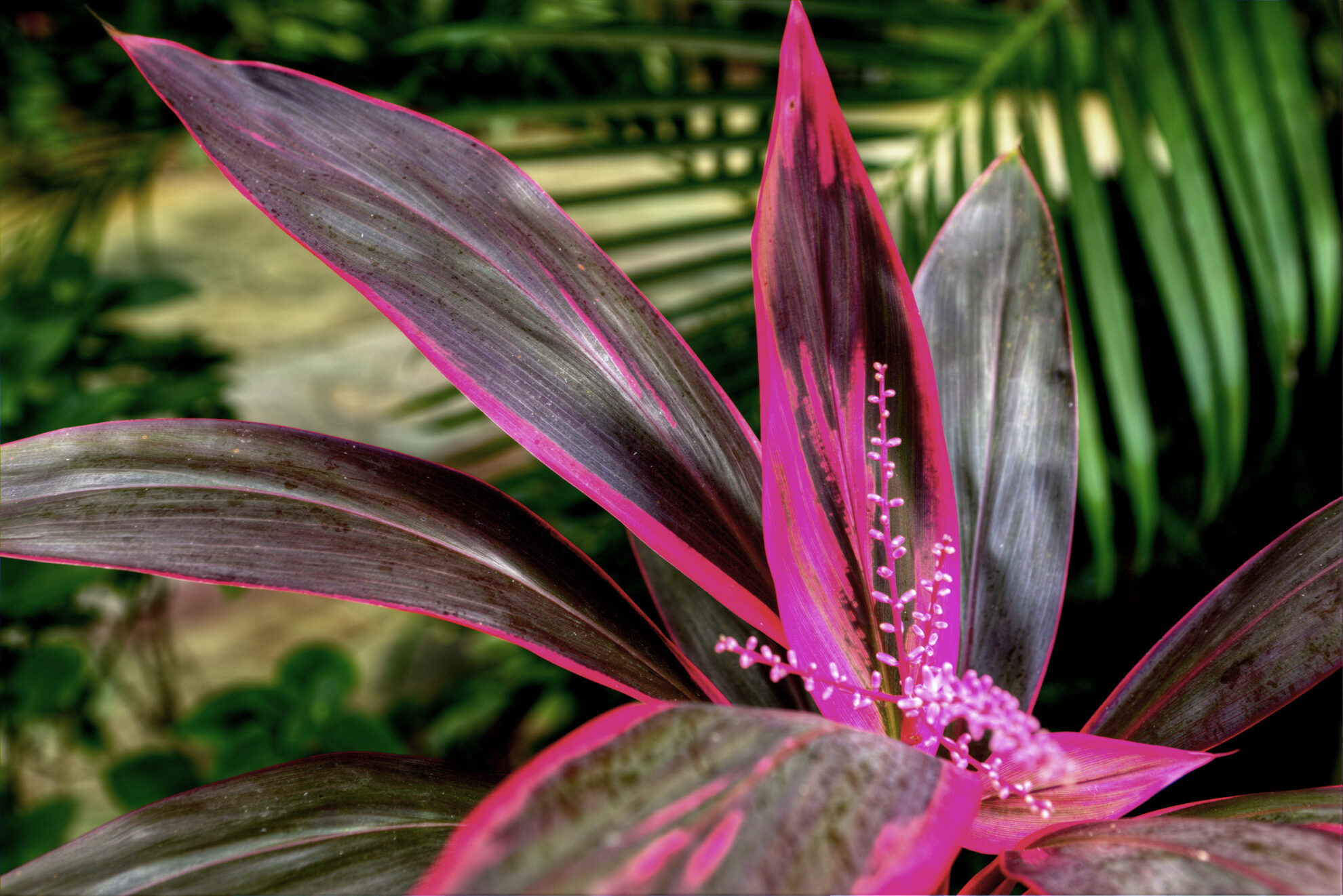 Home - Tampa Digital Photography Classes
