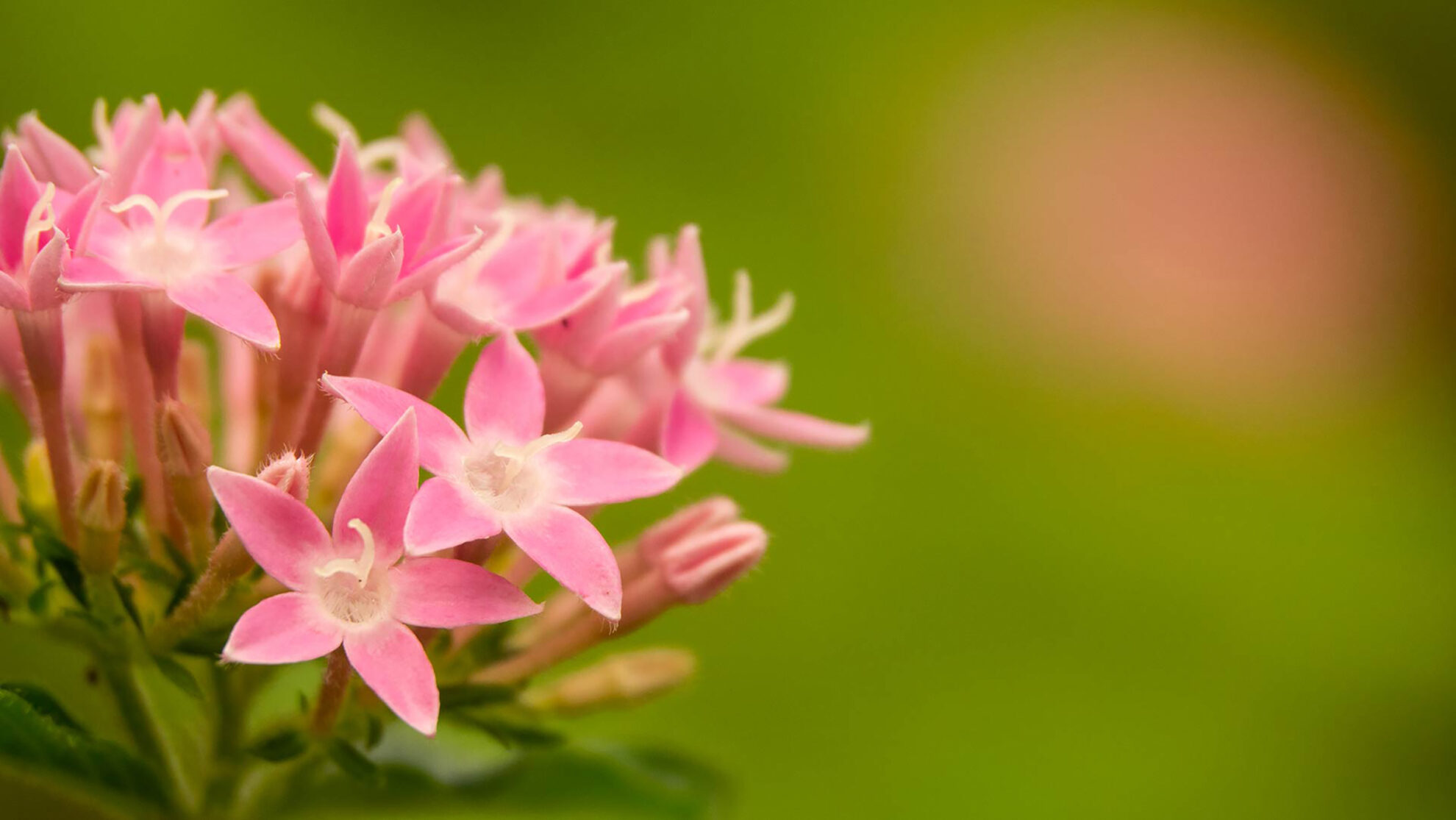 Tampa Digital Photography Classes – Photo workshops in Tampa Bay's area ...